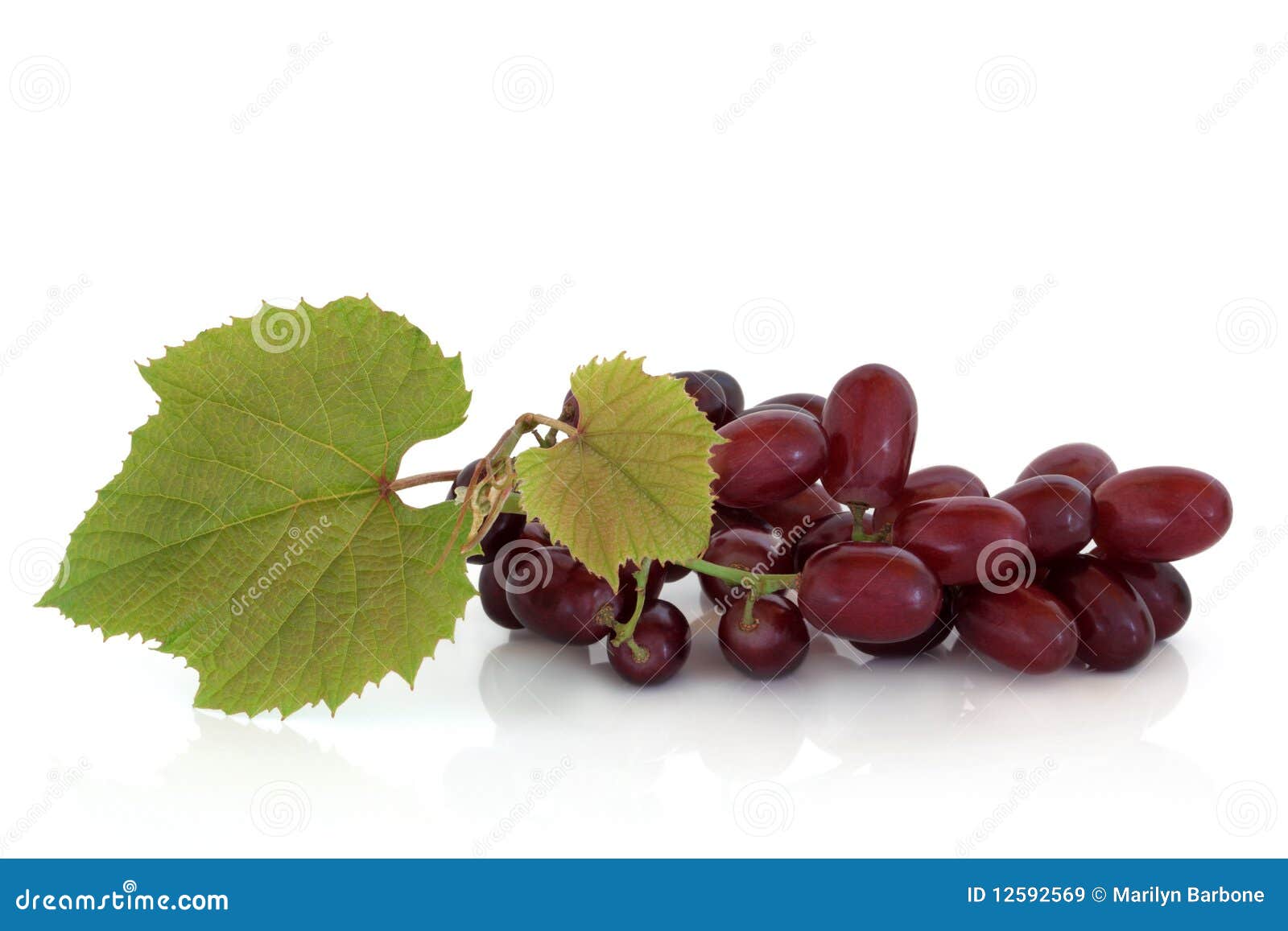 Rote Trauben auf der Rebe stockbild. Bild von purpurrot - 12592569