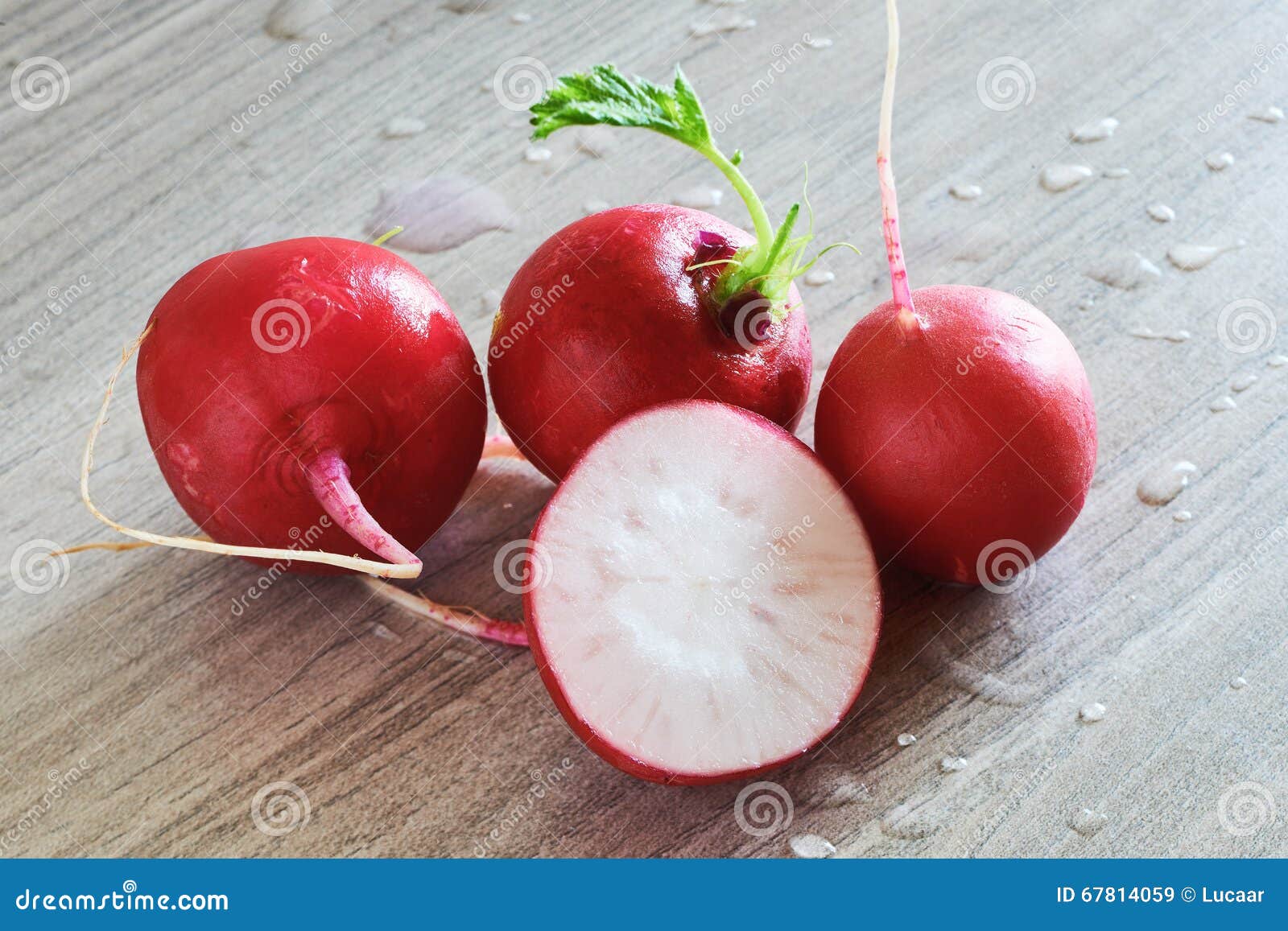 Rote und leckere Rettiche stockbild. Bild von nave, vegan - 67814059