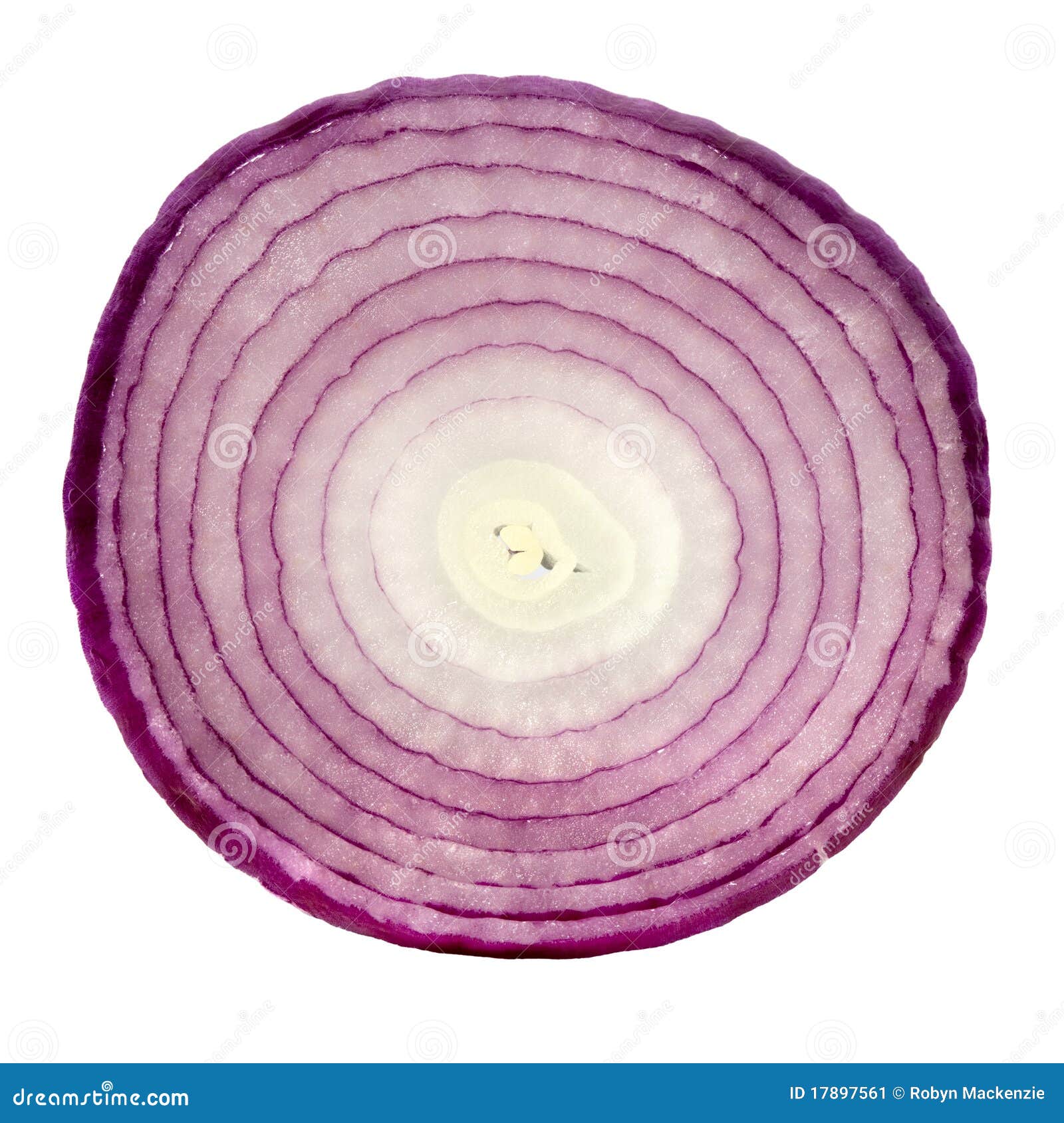 Rote Zwiebelen-Scheibe stockbild. Bild von ringe, getrennt - 17897561