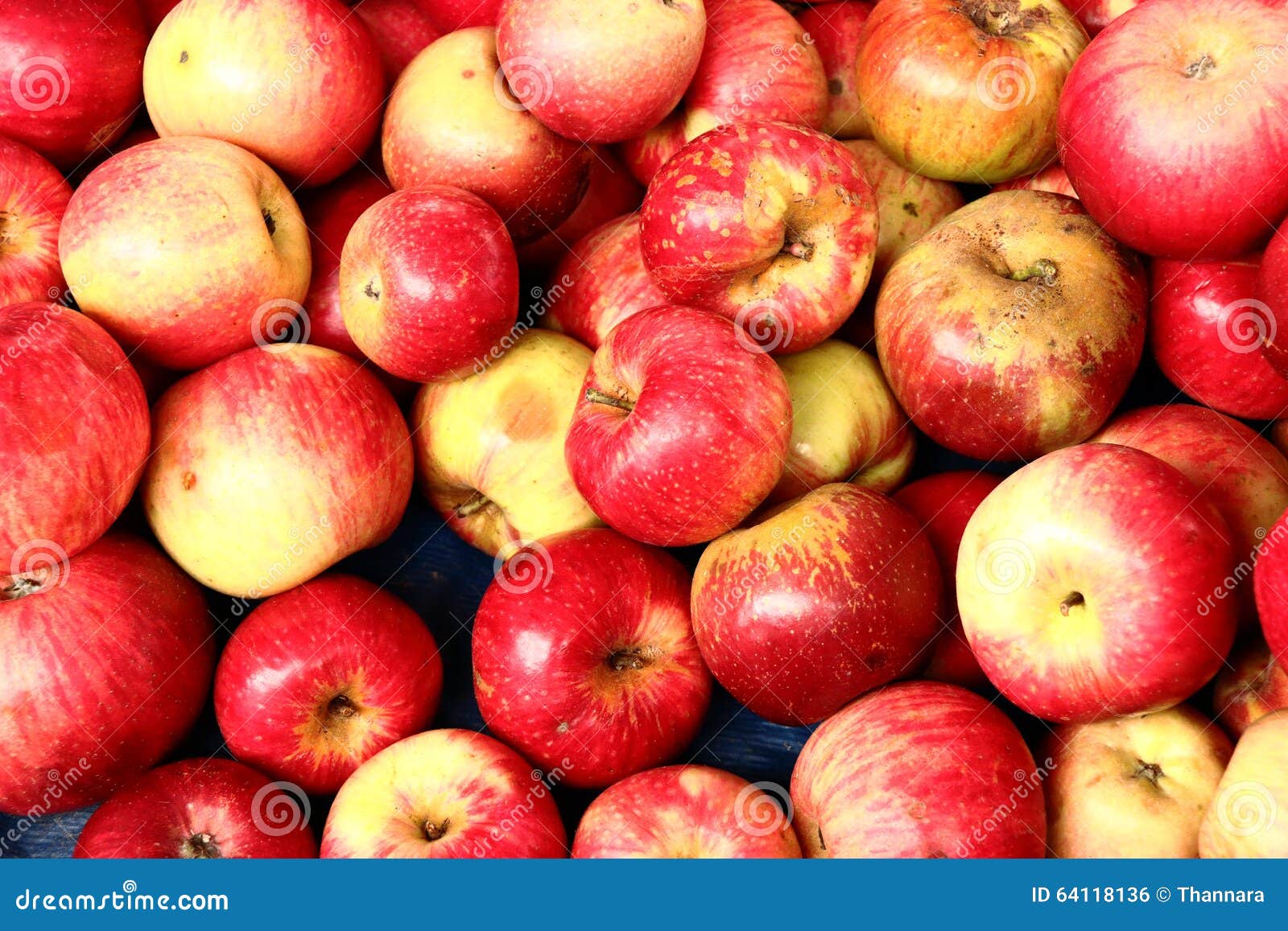 Roter Apfel stockfoto. Bild von scheffel, mahlzeit, amüsiert - 64118136