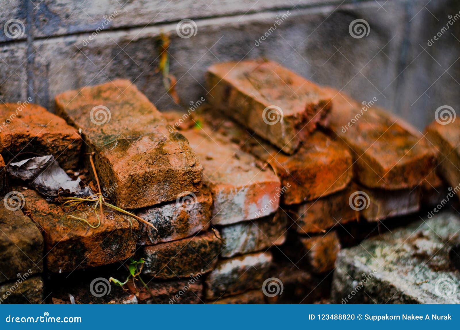 Roter Backstein, Der Auf Die Wand Legt Stockfoto - Bild von ziegelstein ...