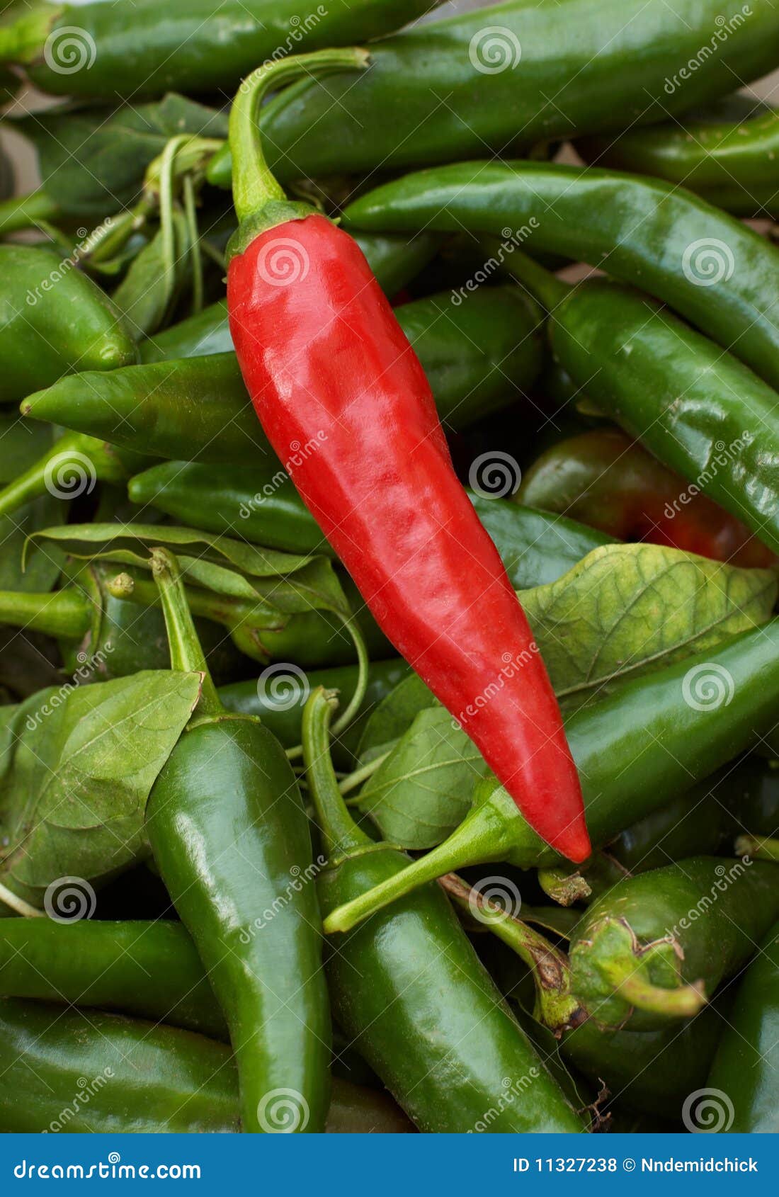 Roter Cayennepfeffer-Pfeffer Stockfoto - Bild von nahrung, erzeugnis ...