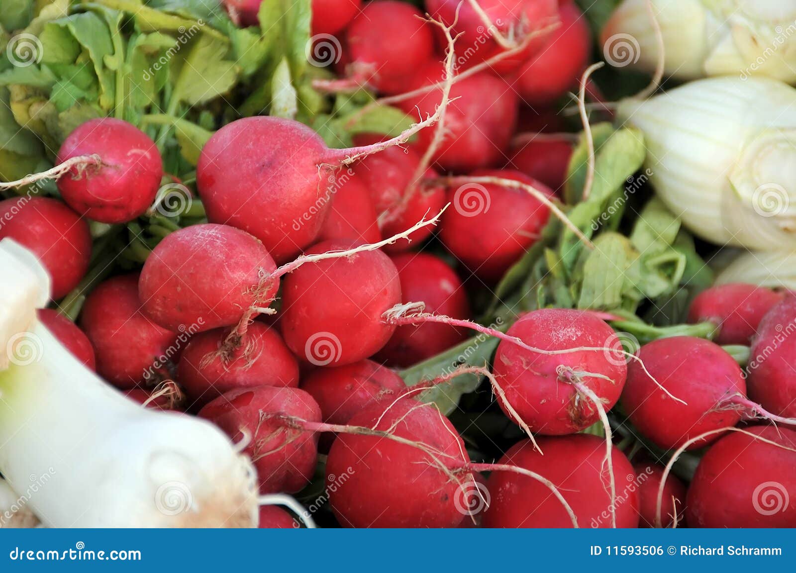 Roter Rettich stockfoto. Bild von nahrung, gesundheit - 11593506