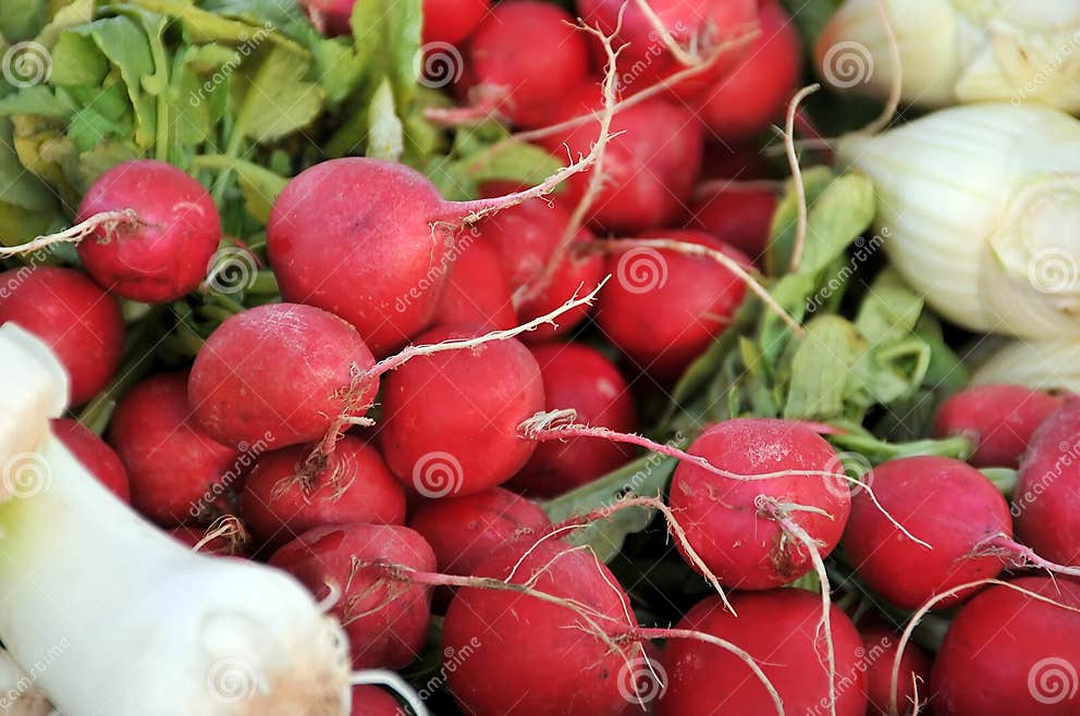 Roter Rettich stockfoto. Bild von nahrung, gesundheit - 11593506