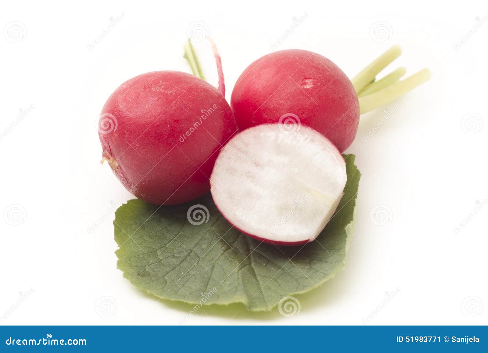 Roter Rettich stockbild. Bild von nähren, saisonal, kochen - 51983771