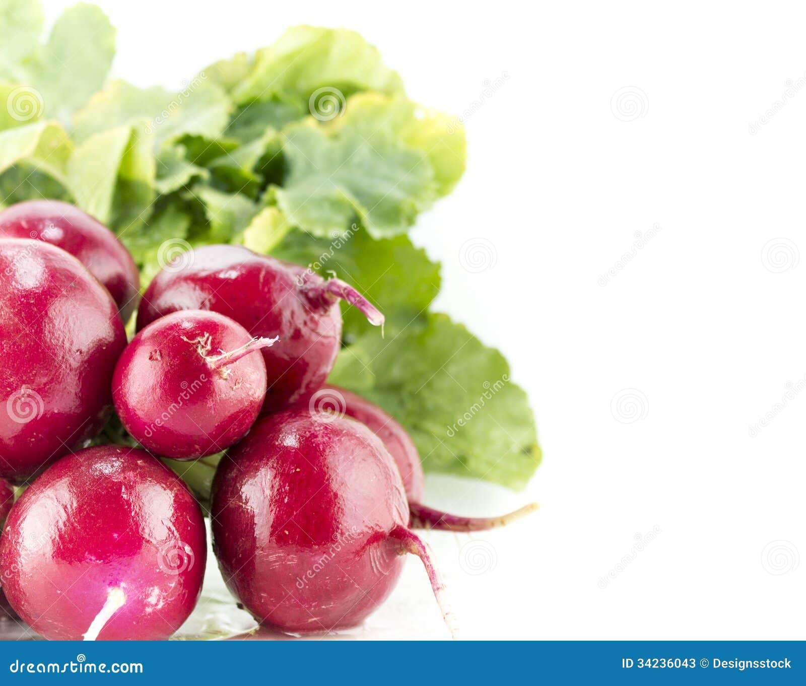Roter Rettich Des Kleinen Gartens Stockbild - Bild von bauernhof, makro ...