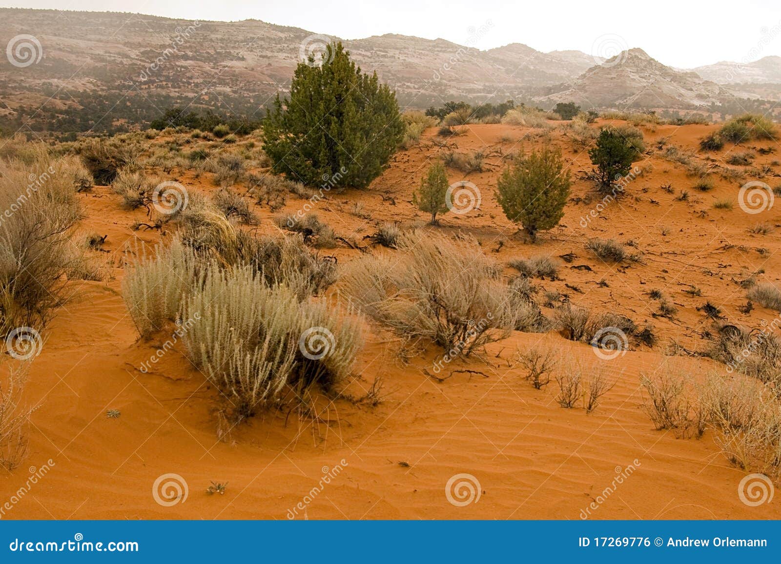 Roter Sand stockfoto. Bild von düne, frech, landschaft - 17269776