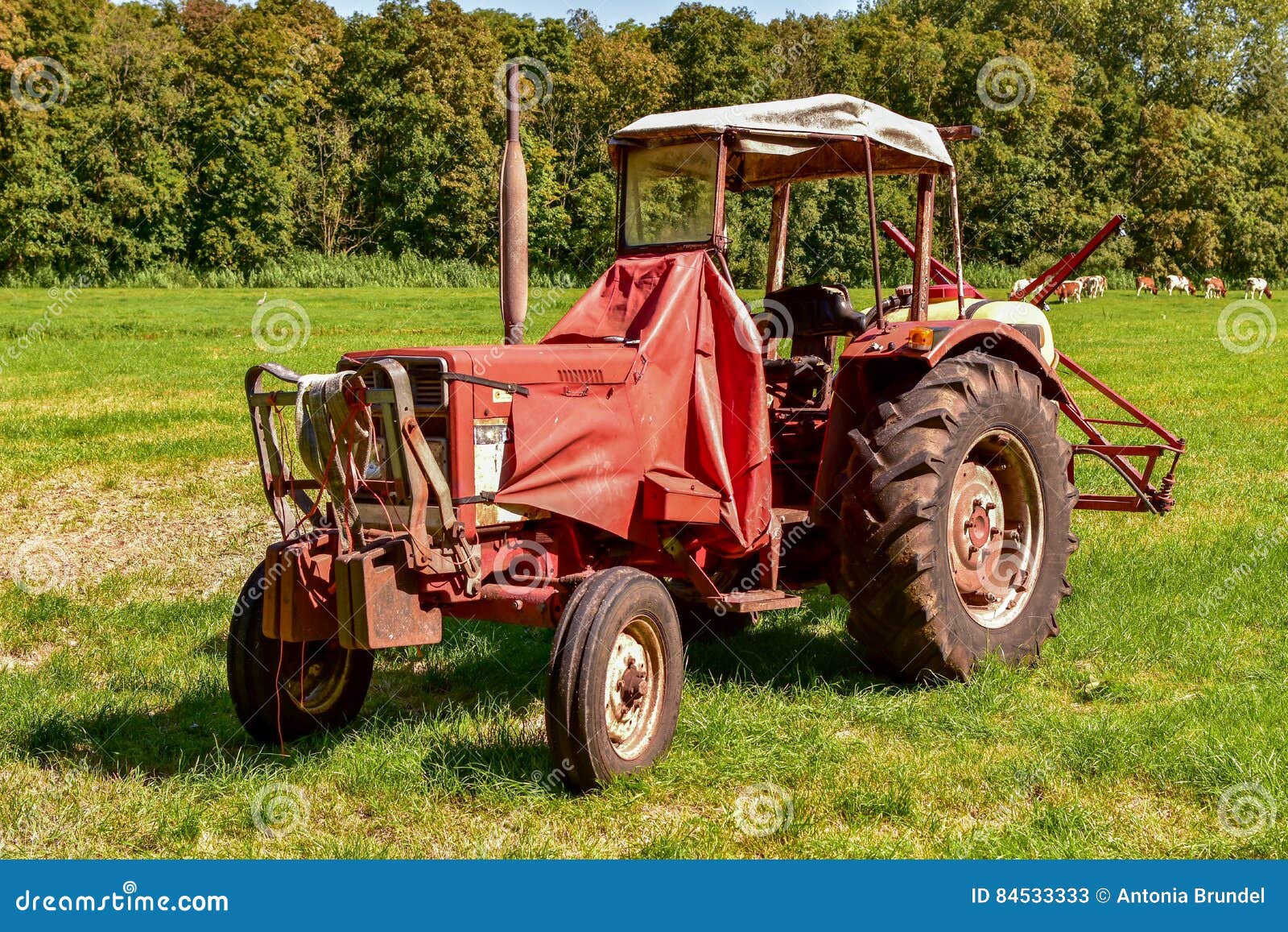 Roter Traktor redaktionelles stockfoto. Bild von landwirtschaft - 84533333