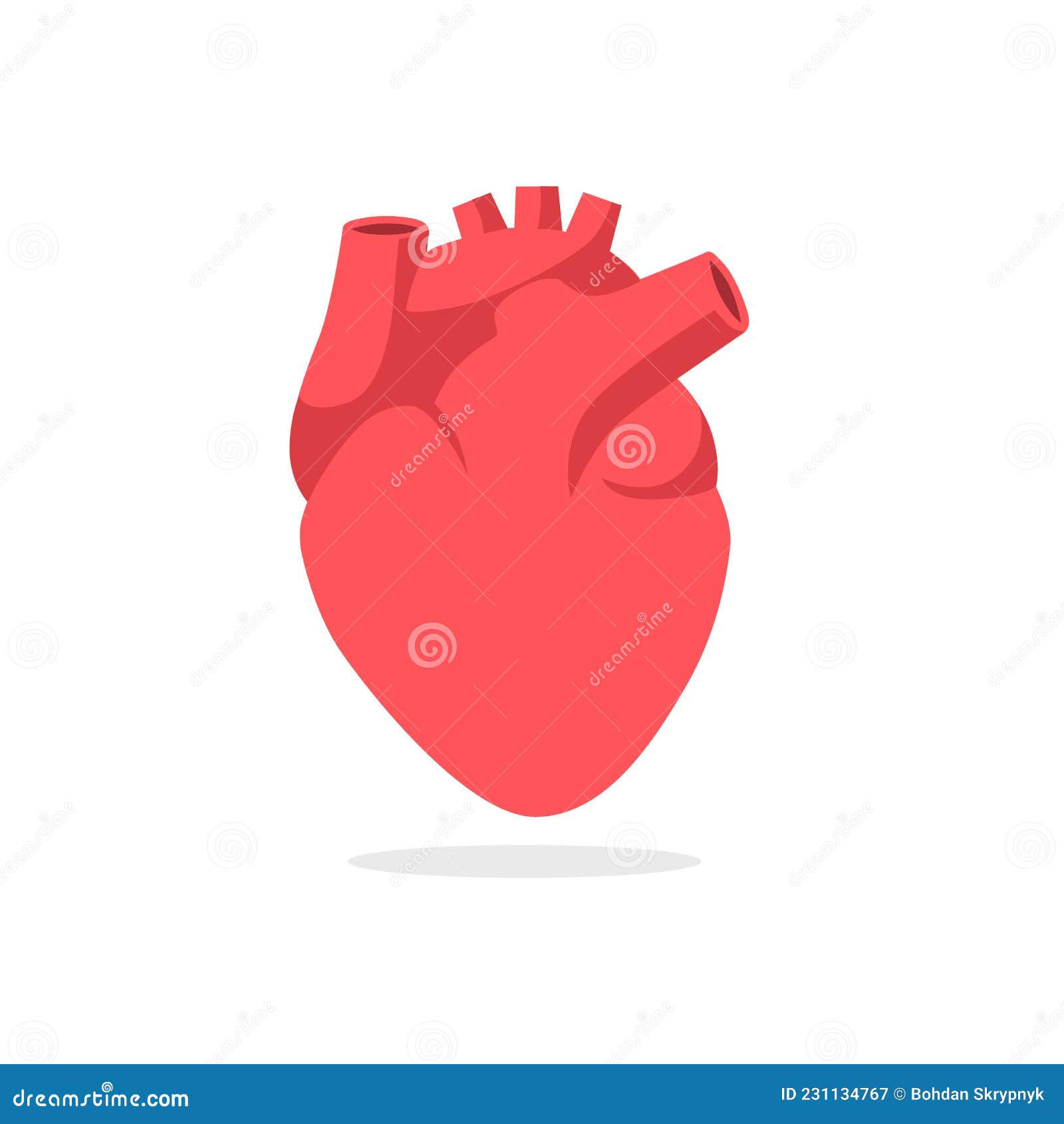 Rotes Anatomisches Herz. Kardiologisches Organ Des Menschlichen Kopfes ... Rotes Anatomisches Herz. Kardiologisches Organ Des Menschlichen Kopfes ...