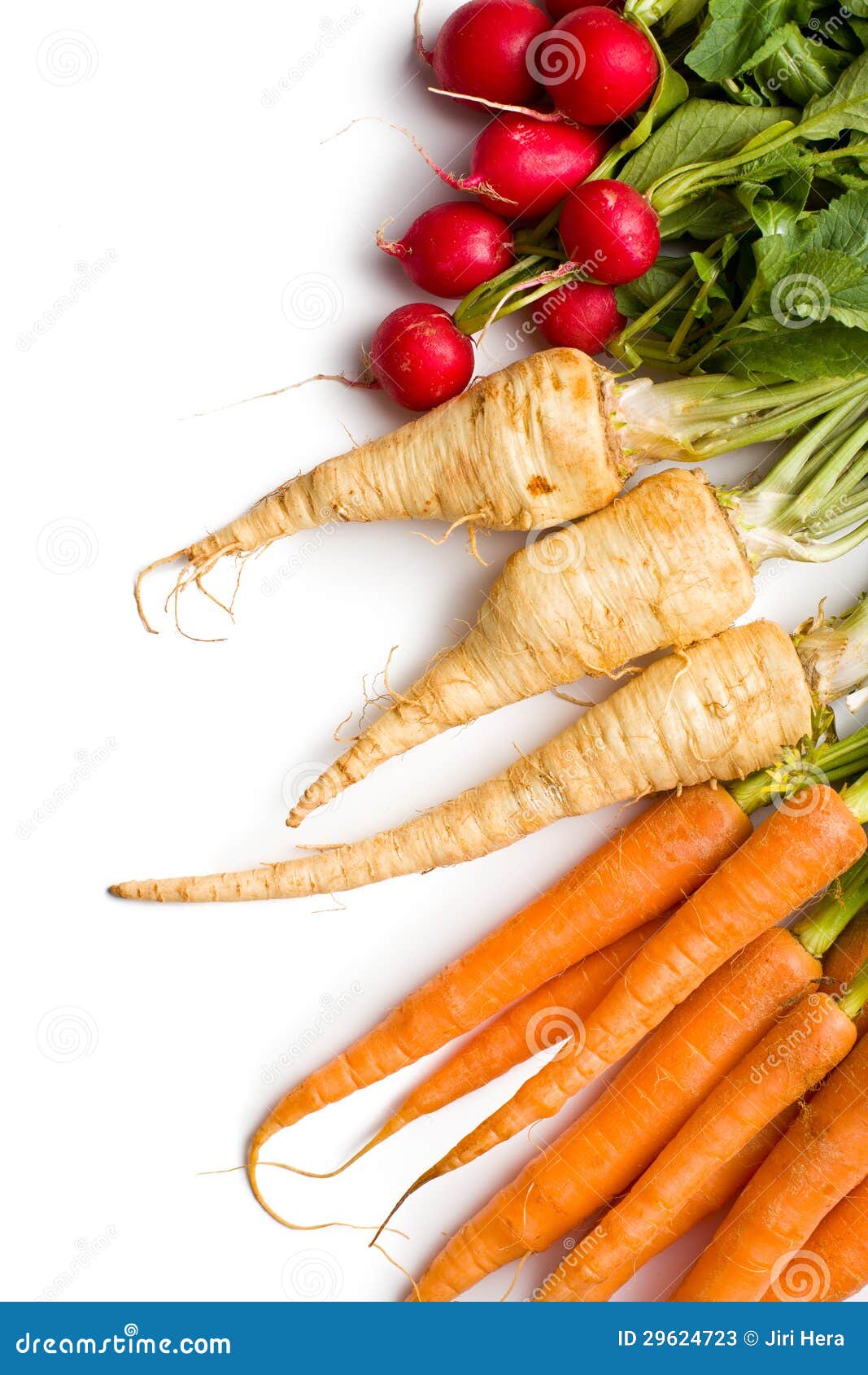 Rotfrukter fotografering för bildbyråer. Bild av kokt - 29624723