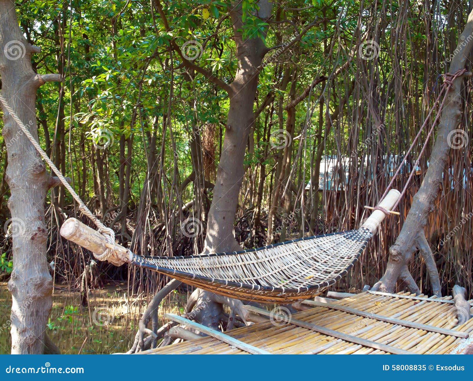 Rotin d'hamac image stock. Image du arbre, asie, wooden - 58008835