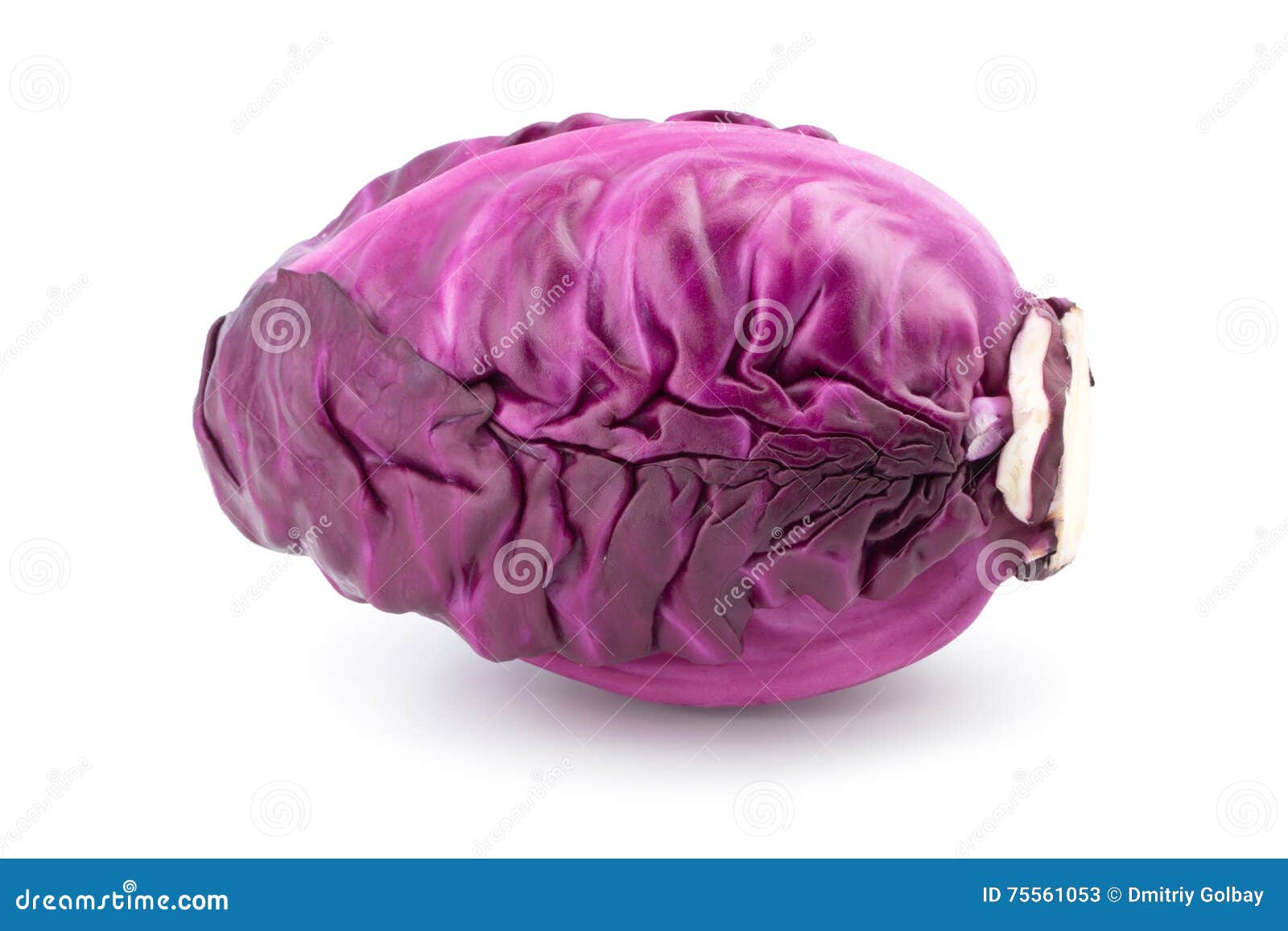 Rotkohl Lokalisiert Auf Weißem Hintergrund Stockbild - Bild von ...
