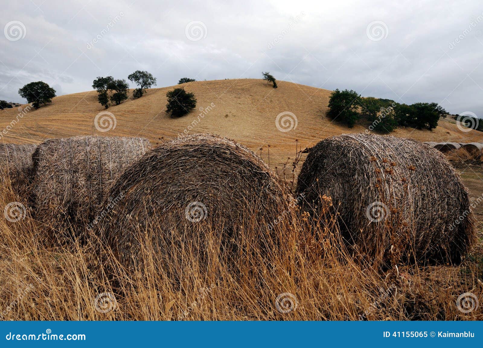 Rotoballe stock image. Image of packaging, round, harvesting - 41155065