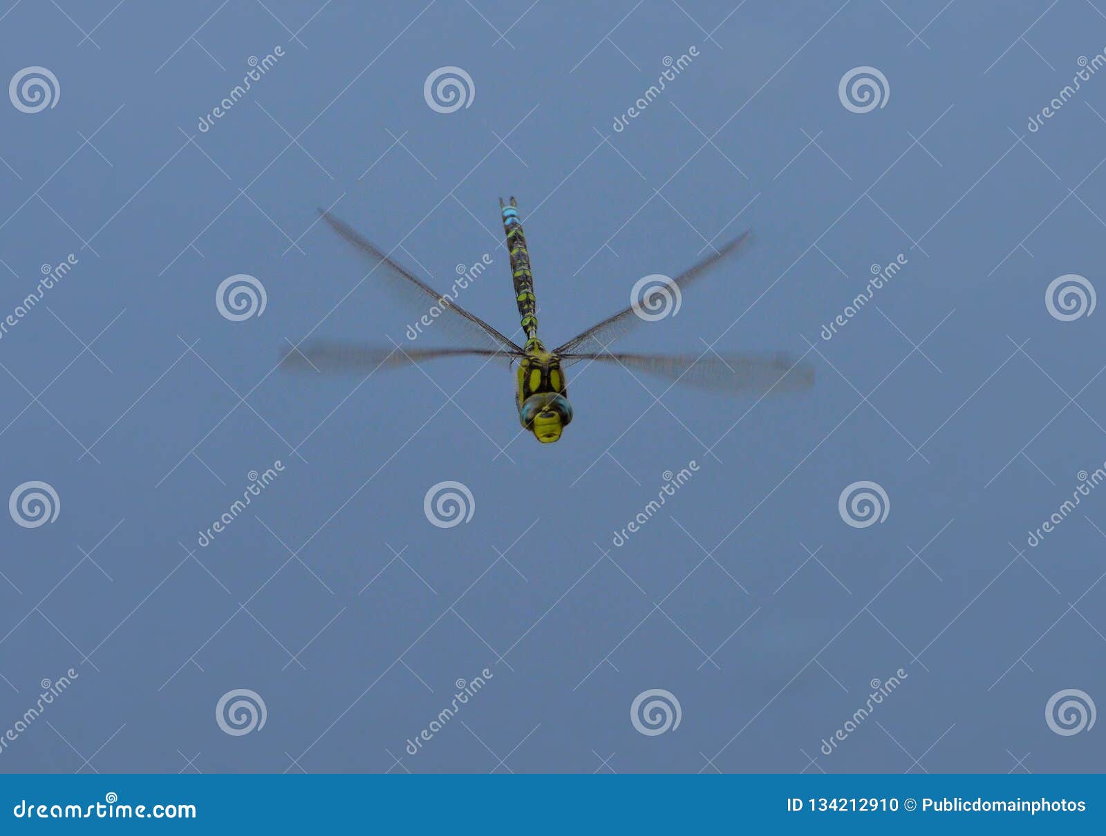 Rotorcraft, Flight, Helicopter, Dragonfly Picture. Image: 134212910