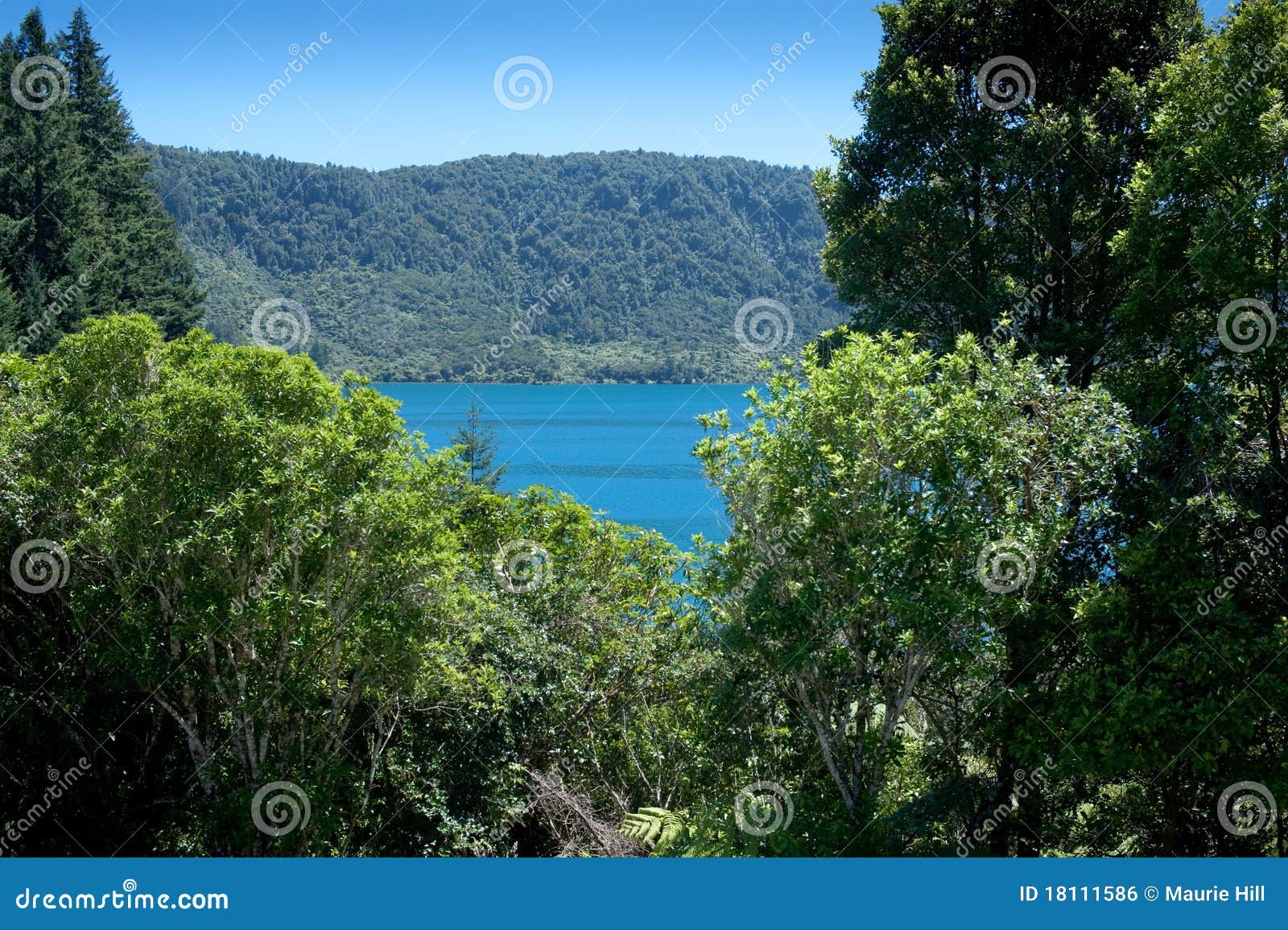 Rotorua Lakes District stock photo. Image of scenery - 18111586