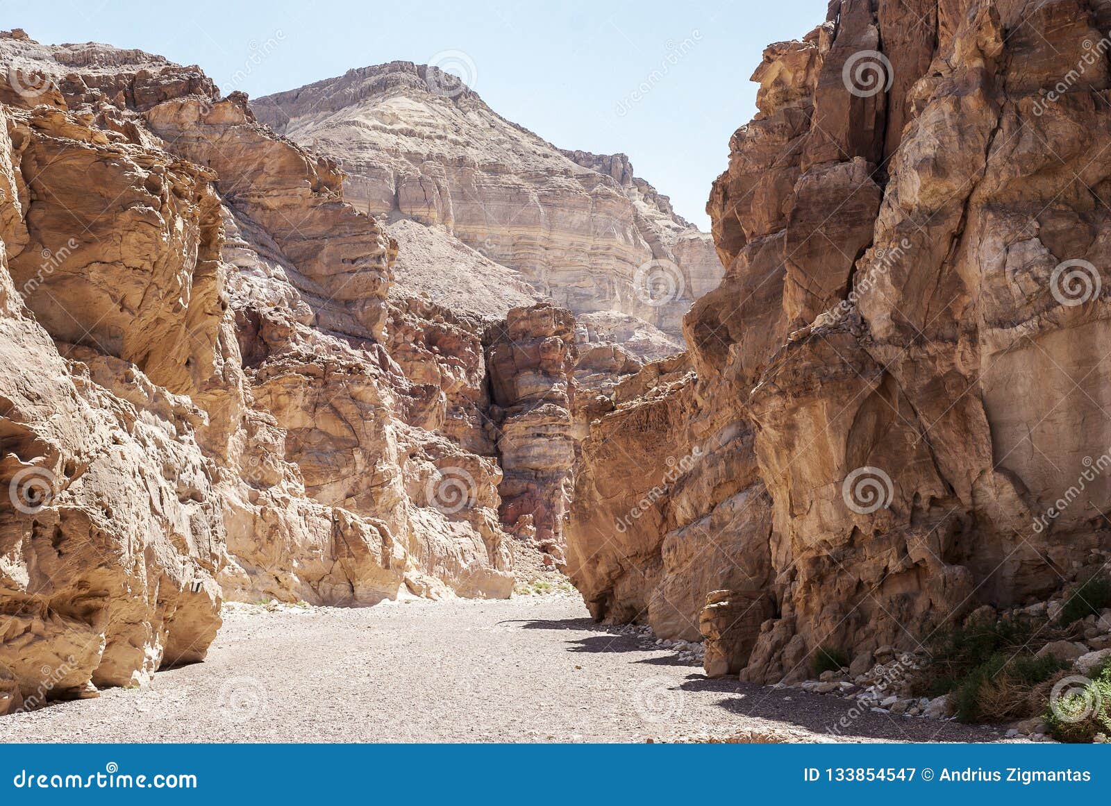 Rotsen stock afbeelding. Image of zout, woestijn, palmen - 133854547
