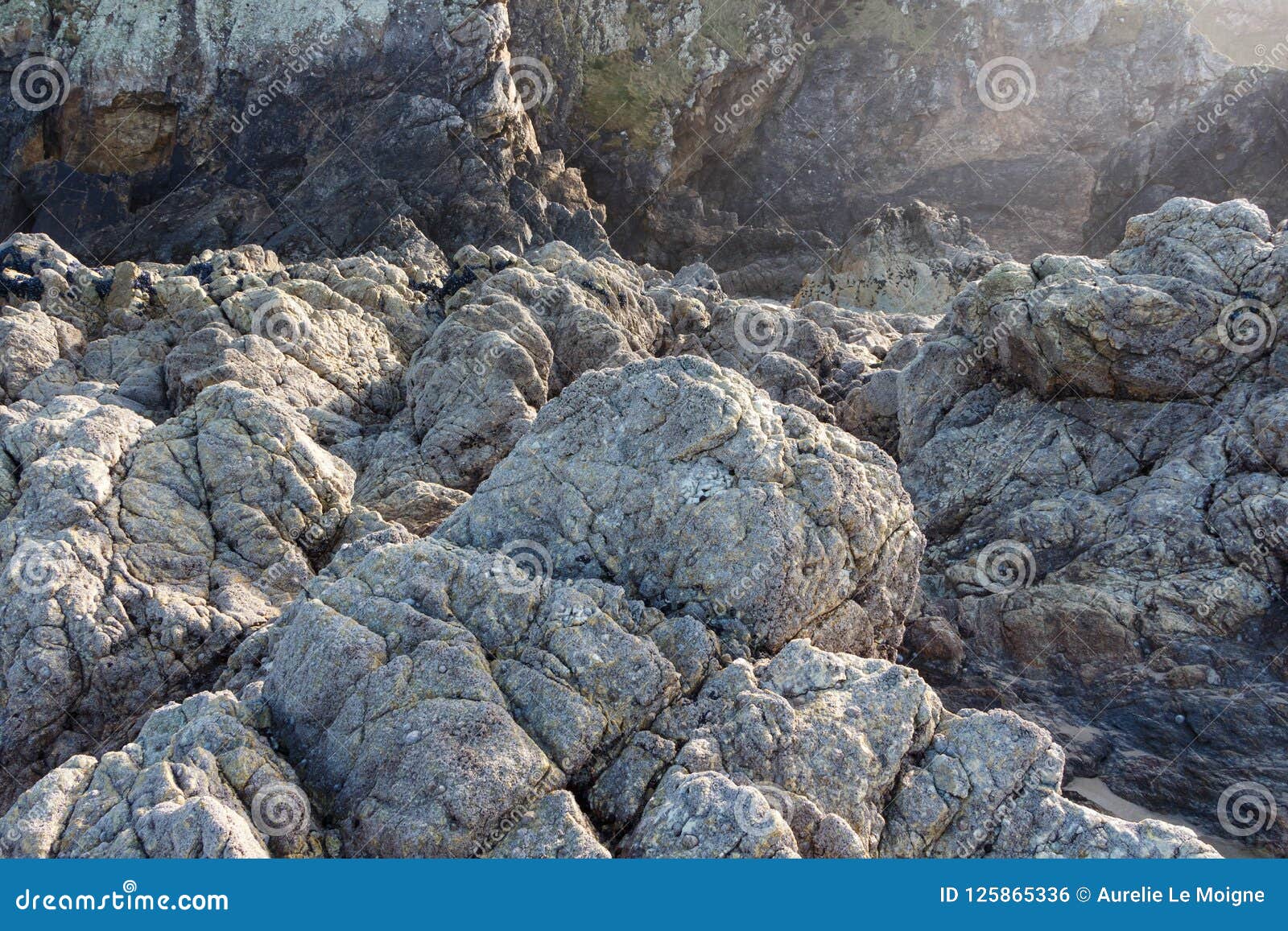 Rotsen in Bretagne stock foto. Image of kust, laag, getijde - 125865336
