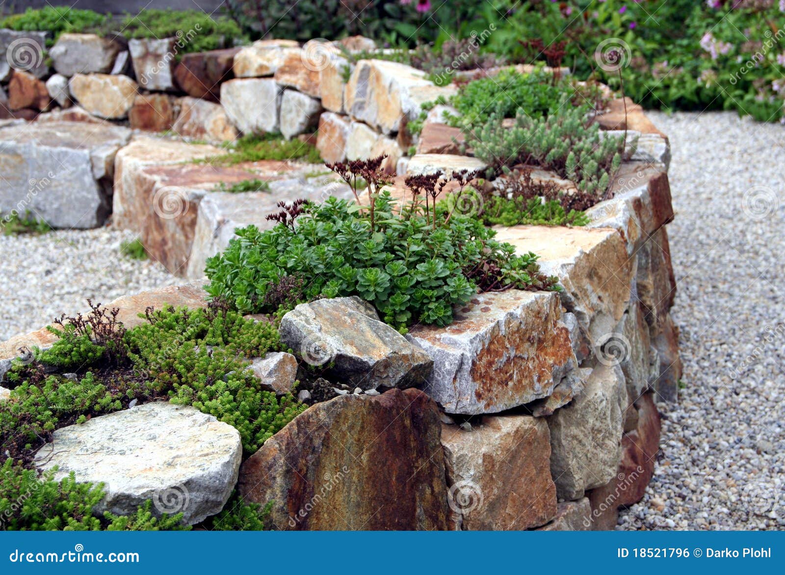 Rotstuin stock foto. Image of rotsachtig, kruiden, eeuwen - 18521796