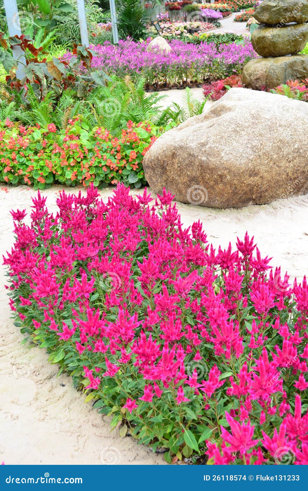 Rotstuin stock foto. Image of idee, tuinieren, steen - 26118574