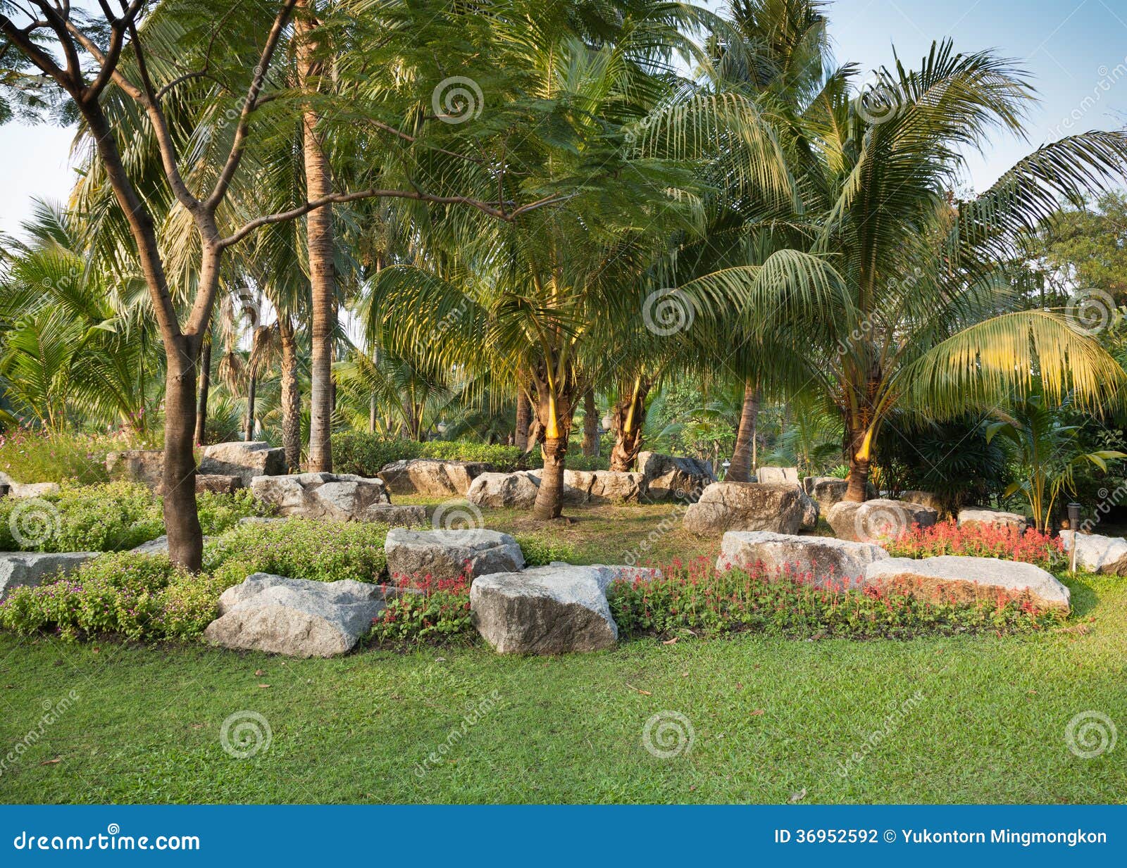 Rotstuin stock foto. Image of tuin, landschap, park, bloem - 36952592