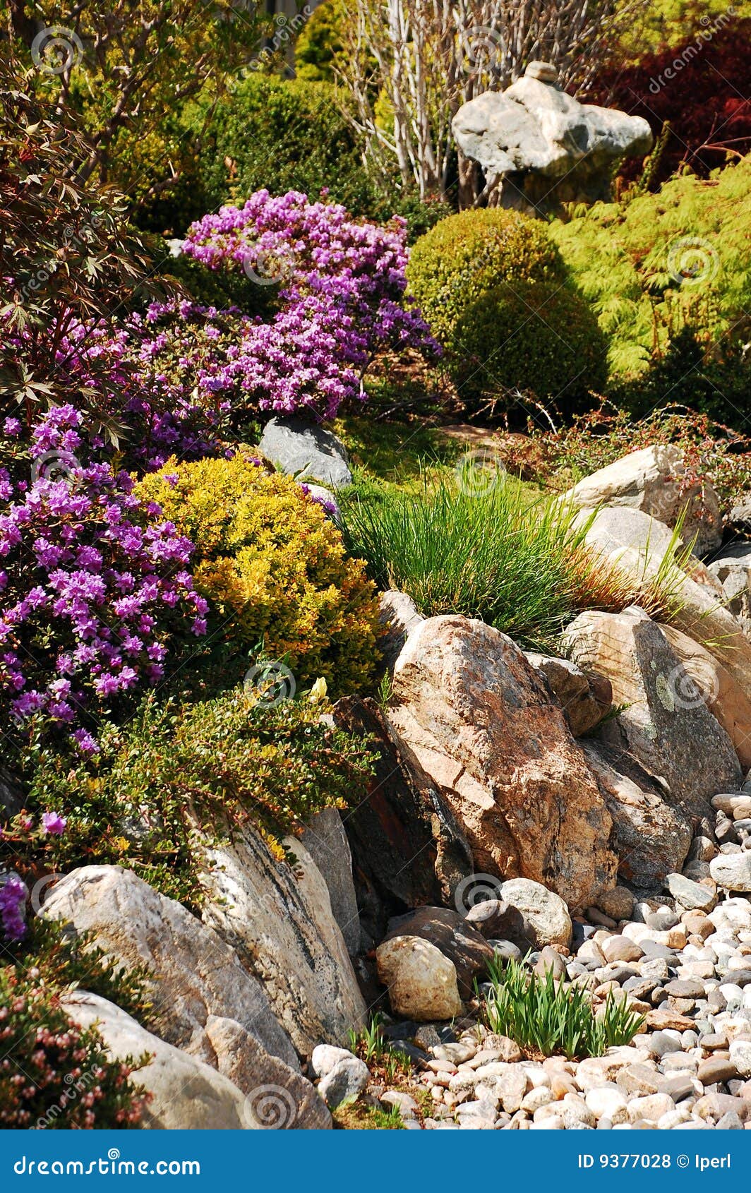 Rotstuin in de lente stock foto. Image of installaties - 9377028