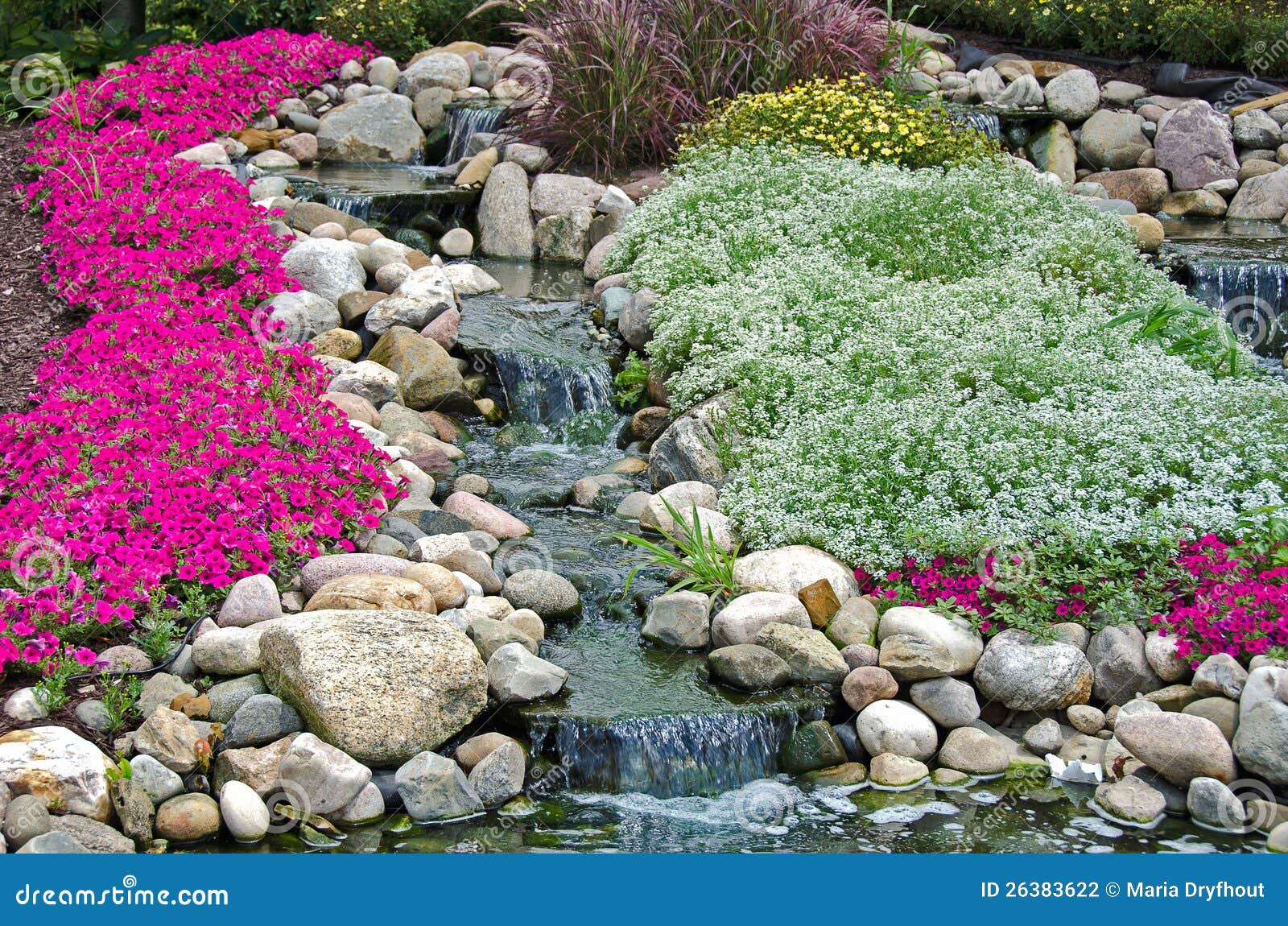 Rotstuin met watervallen stock foto. Image of roze, bloei - 26383622