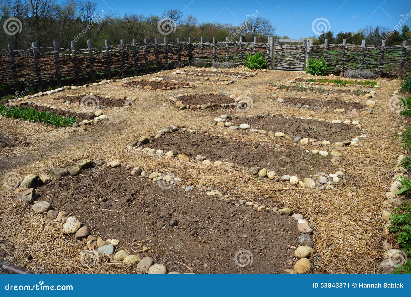Rotstuinen stock afbeelding. Image of vierkant, kruid - 53843371
