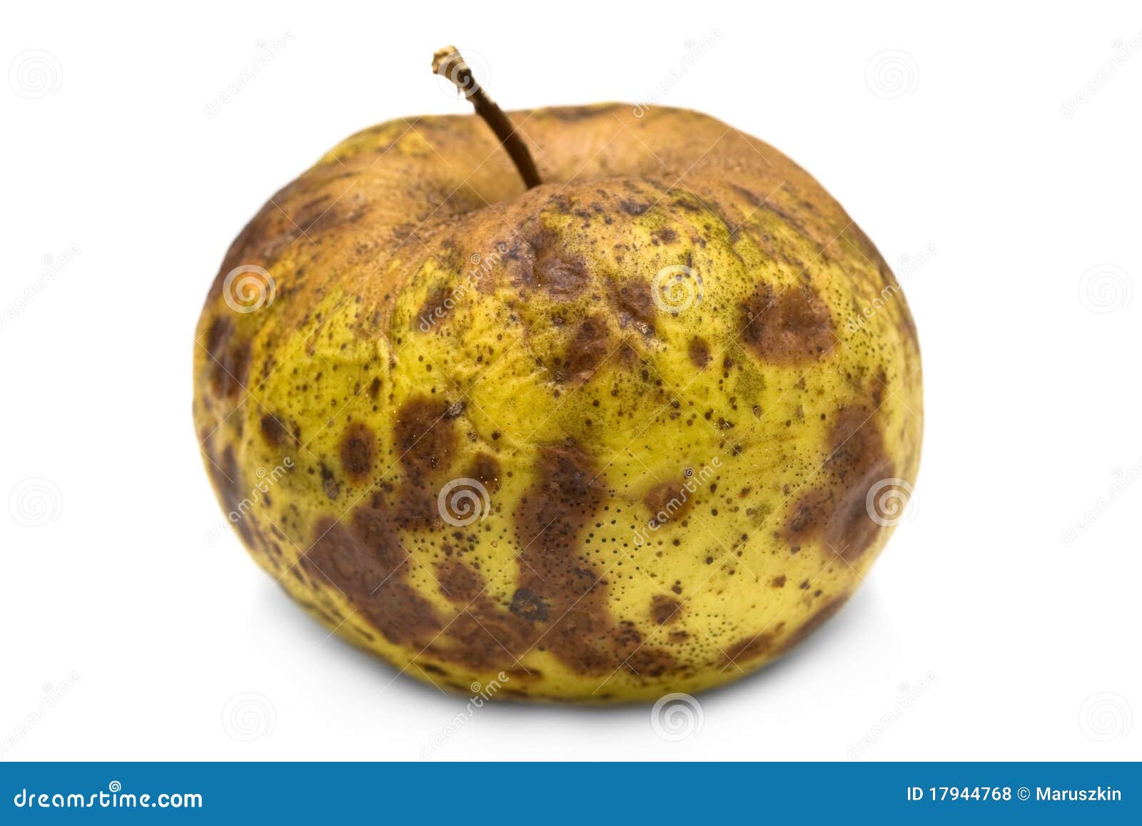 Rotte appel stock foto. Image of ongezond, onhygiënisch - 17944768