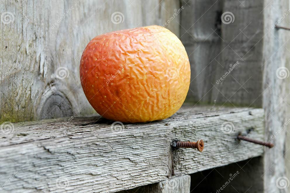 Rotte appel stock afbeelding. Image of verdraaid, namen - 257989