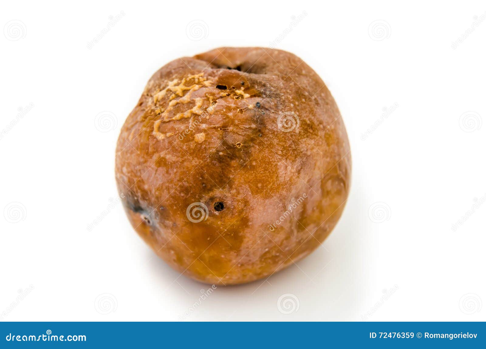 Rotte appel stock afbeelding. Image of gewas, paddestoel - 72476359