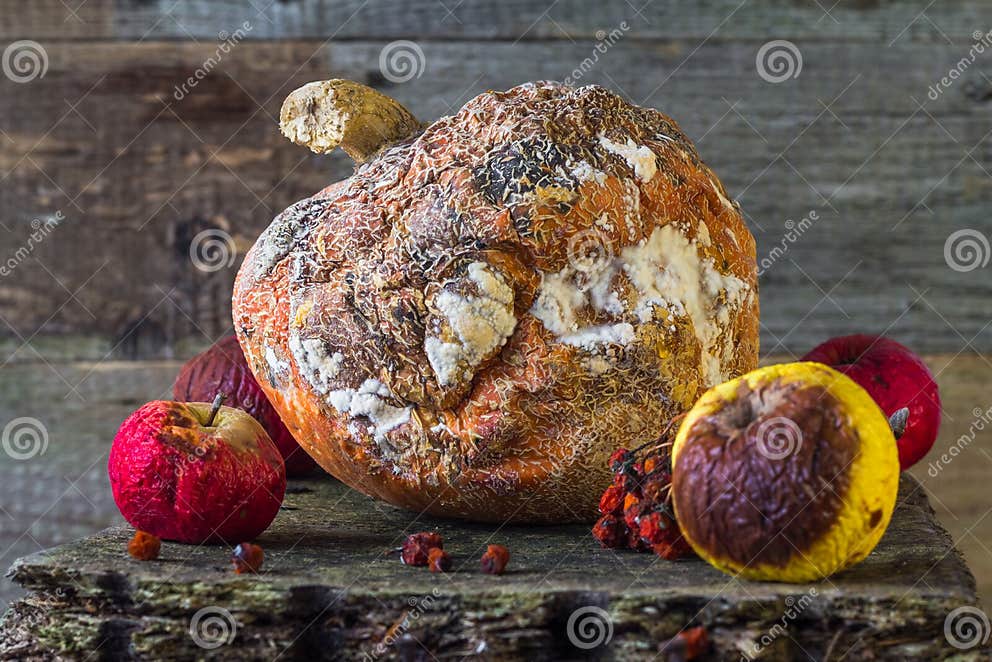 Rotte fruit houten raad stock foto. Image of ziekte, besmet - 36984234