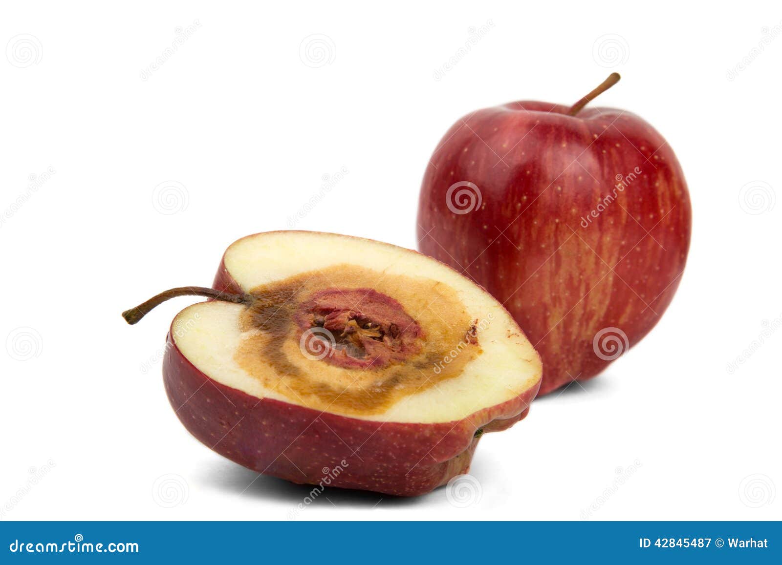 Rotte gesneden rode appel stock afbeelding. Image of kleur - 42845487