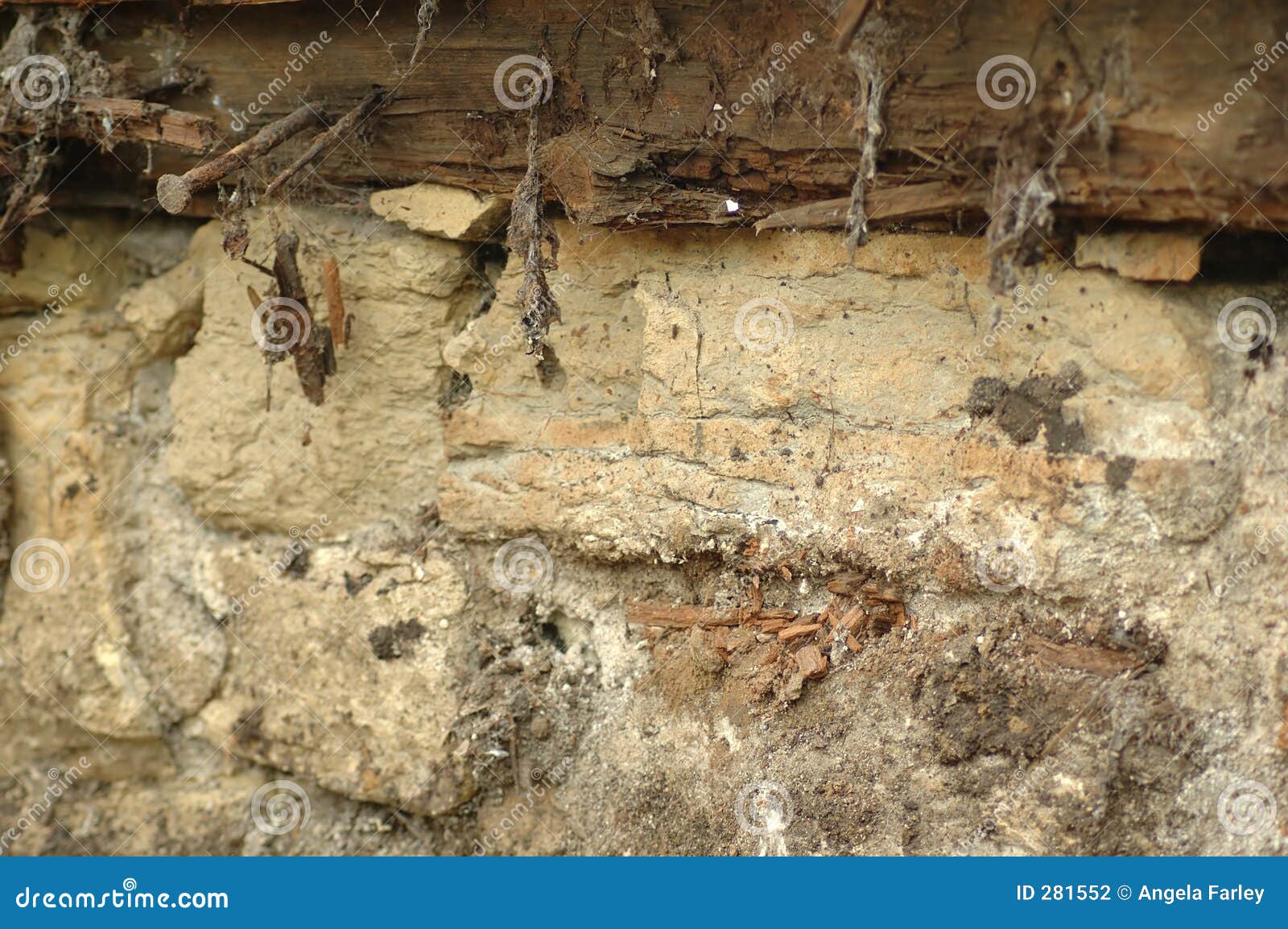 Rotted Sill stock photo. Image of rotted, sill, home, dryrot - 281552