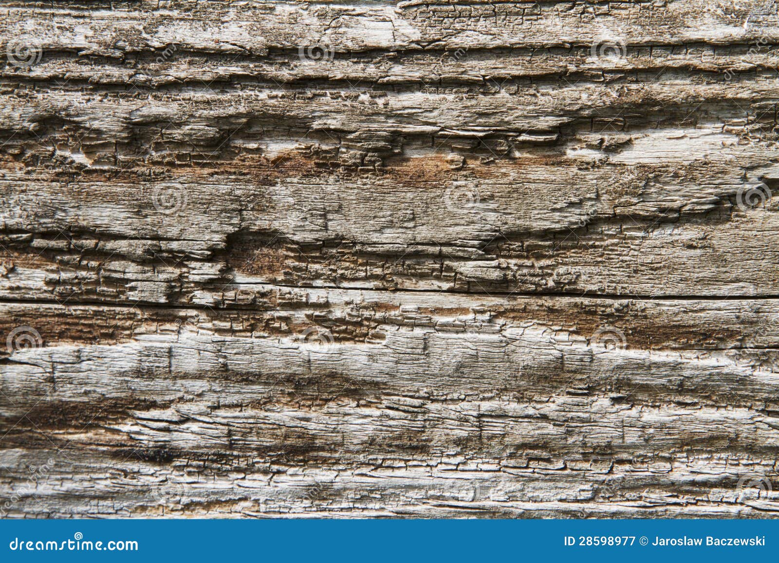 Rotted wood stock image. Image of textured, plank, weathered - 28598977