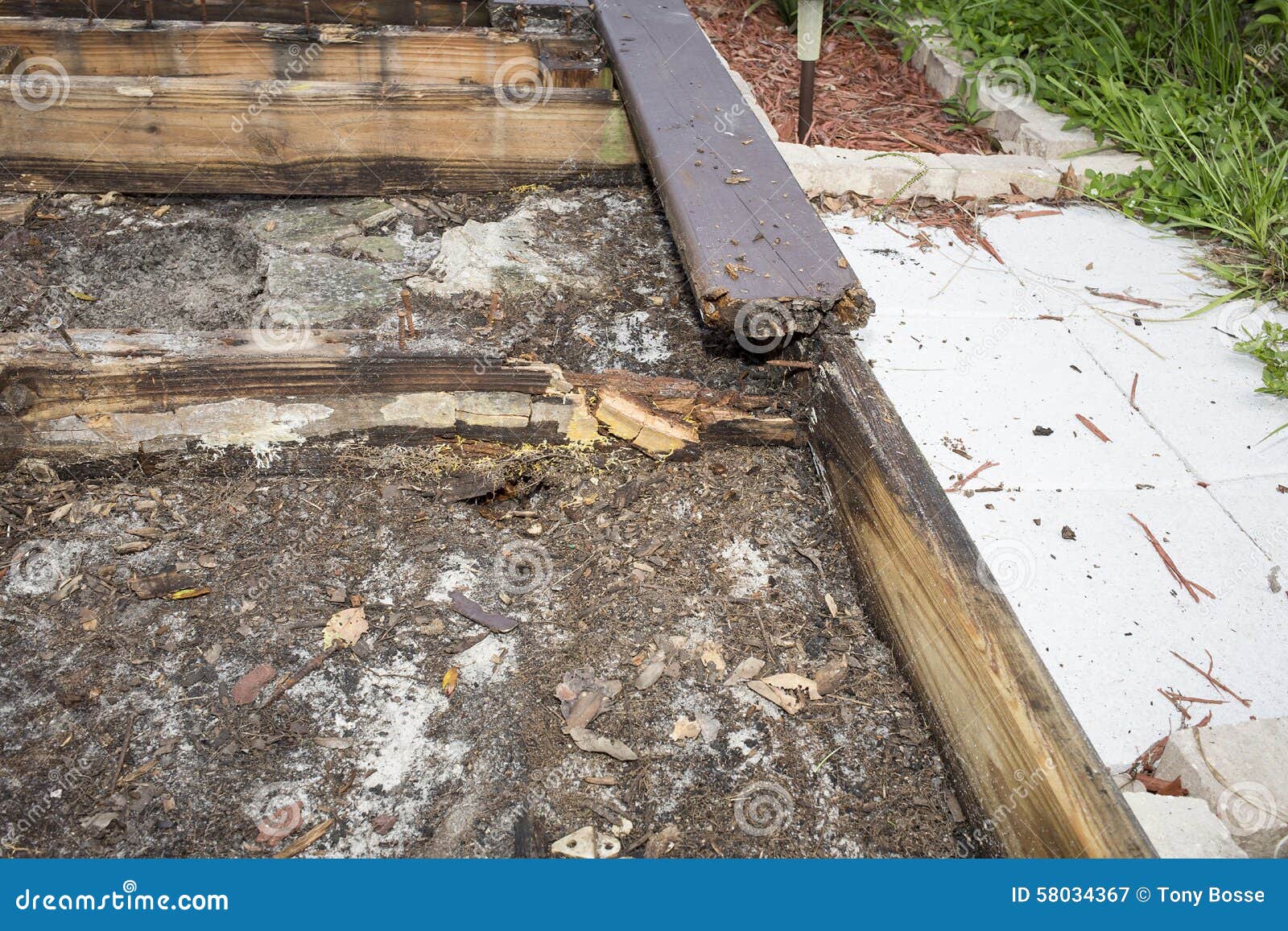 Rotted Wood stock image. Image of deteriorated, rotted - 58034367