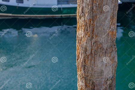Rotted wood pier piling stock photo. Image of piling - 49901616