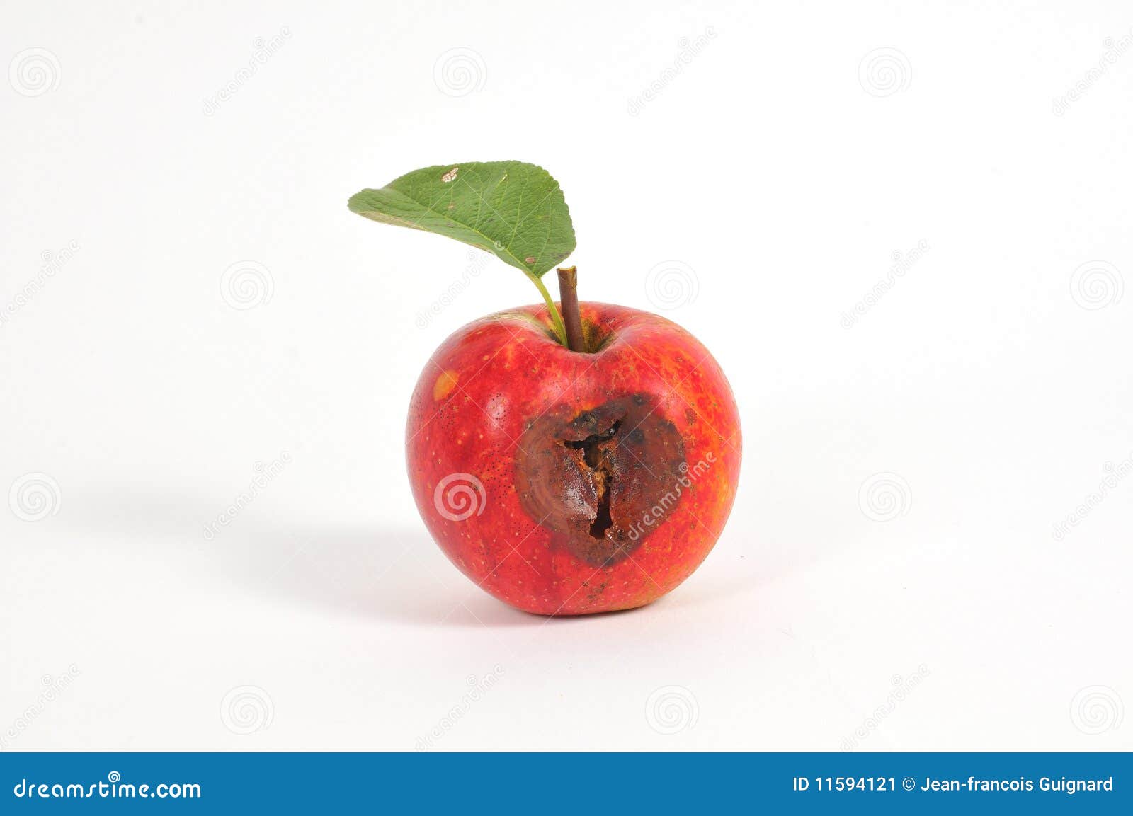 The Rotten Apple That Being Bite Isolated On White Background. Royalty ...