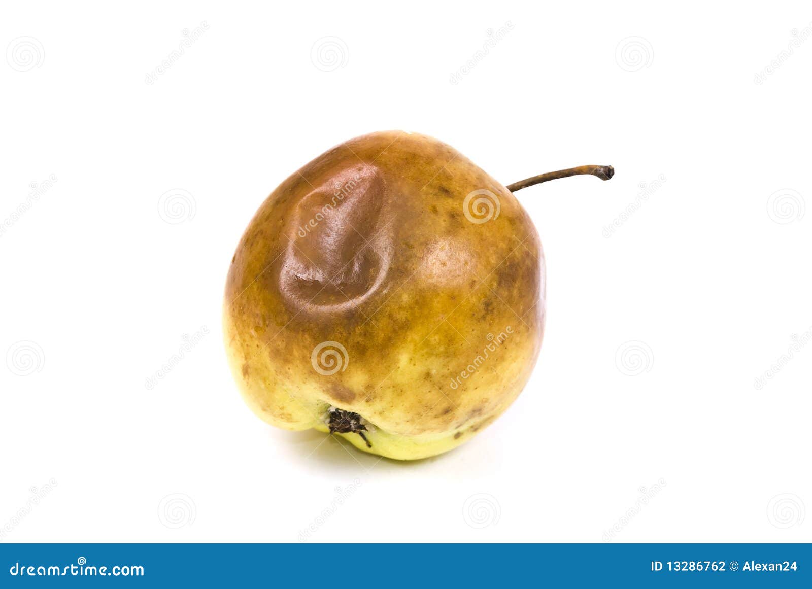 Rotten apple stock photo. Image of fruit, apple, natural - 13286762