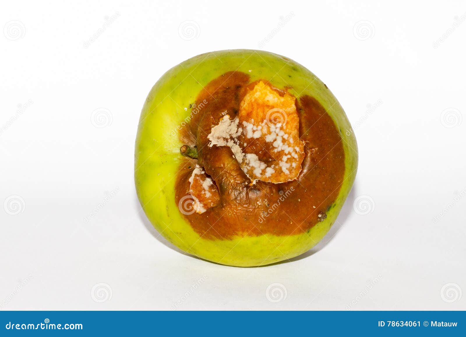 Rotten apple stock image. Image of unhygienic, infected - 78634061