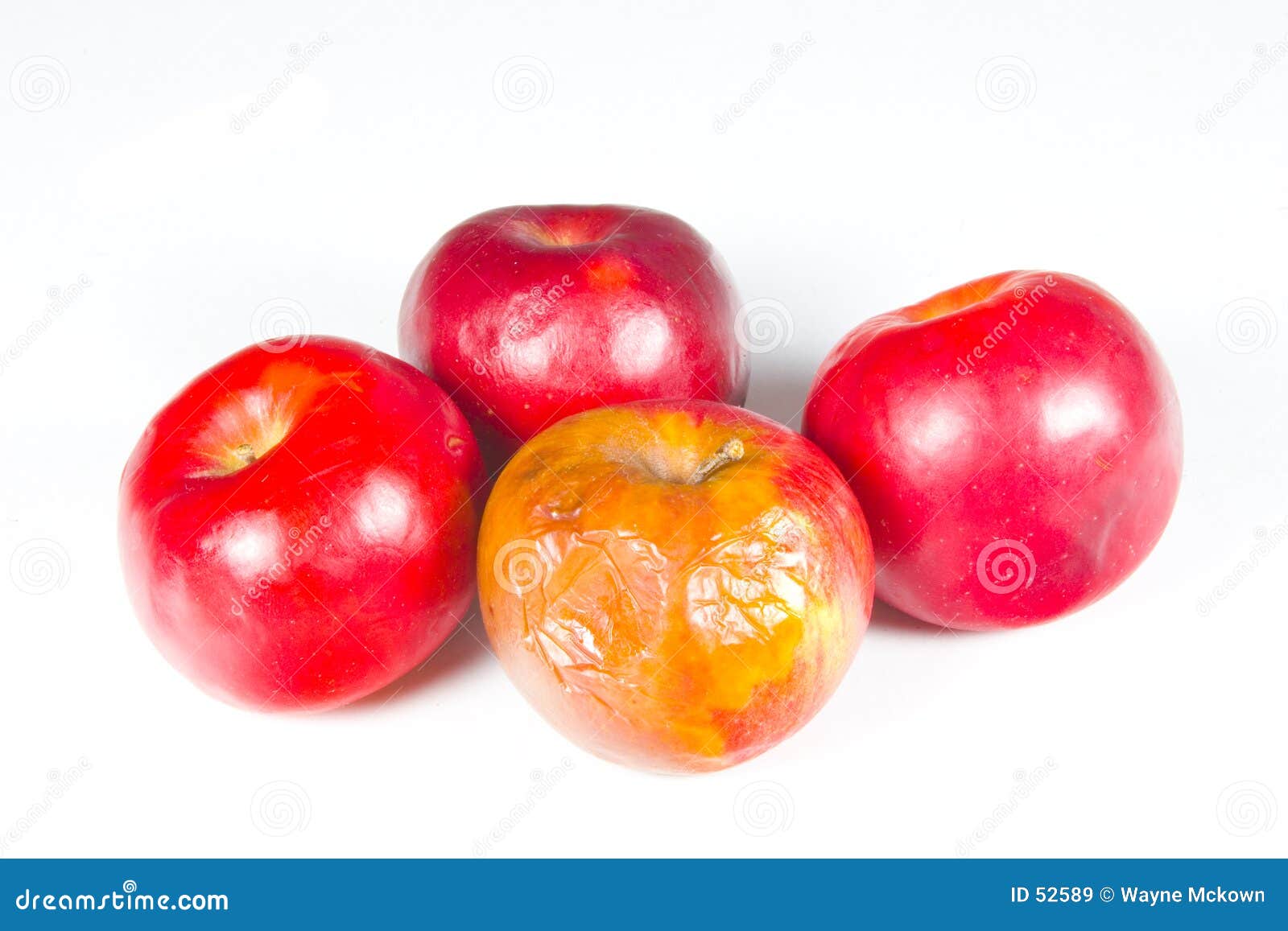 Always a Rotten Apple in the Bunch Stock Image - Image of bake, bite: 52589