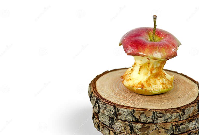 Rotten apple core on wood stock image. Image of edible - 44481597
