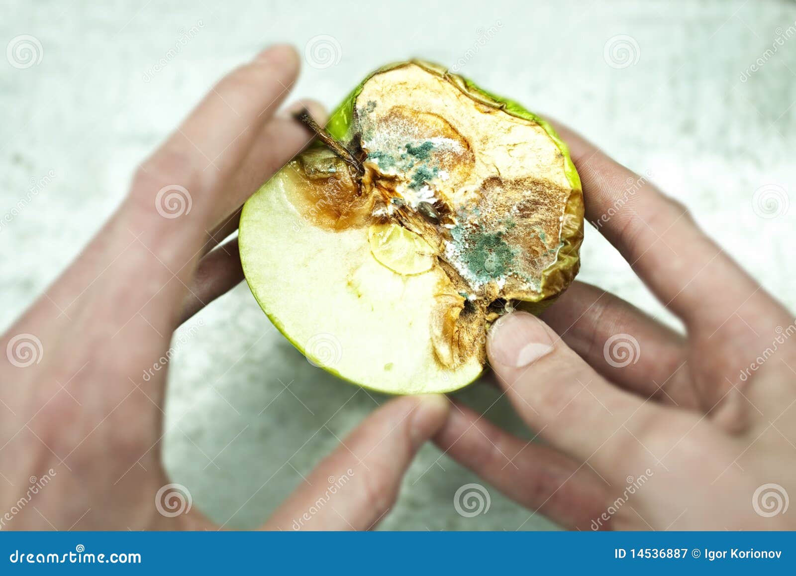 323 Rotten Hands Photos - Free & Royalty-Free Stock Photos from Dreamstime