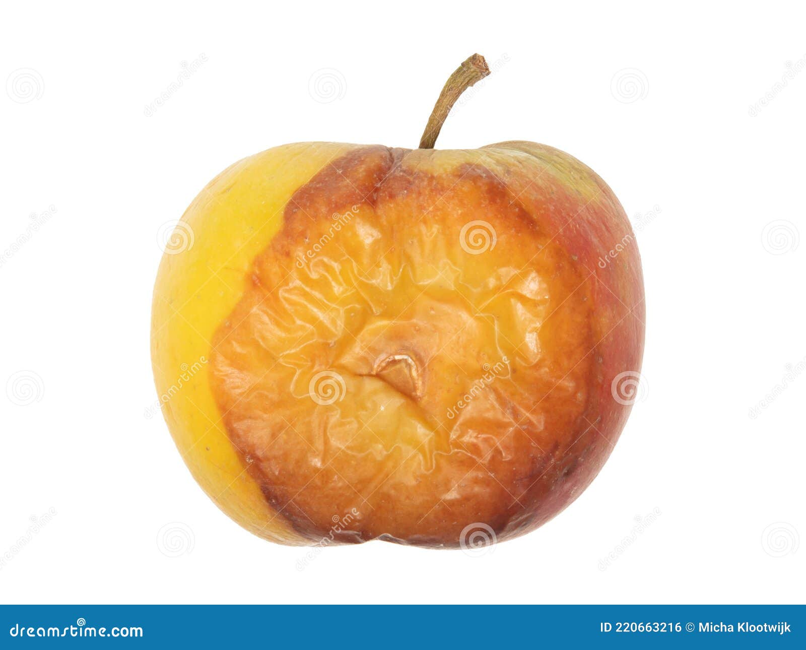 Rotten Apple Isolated on White Stock Photo - Image of aging, time ...