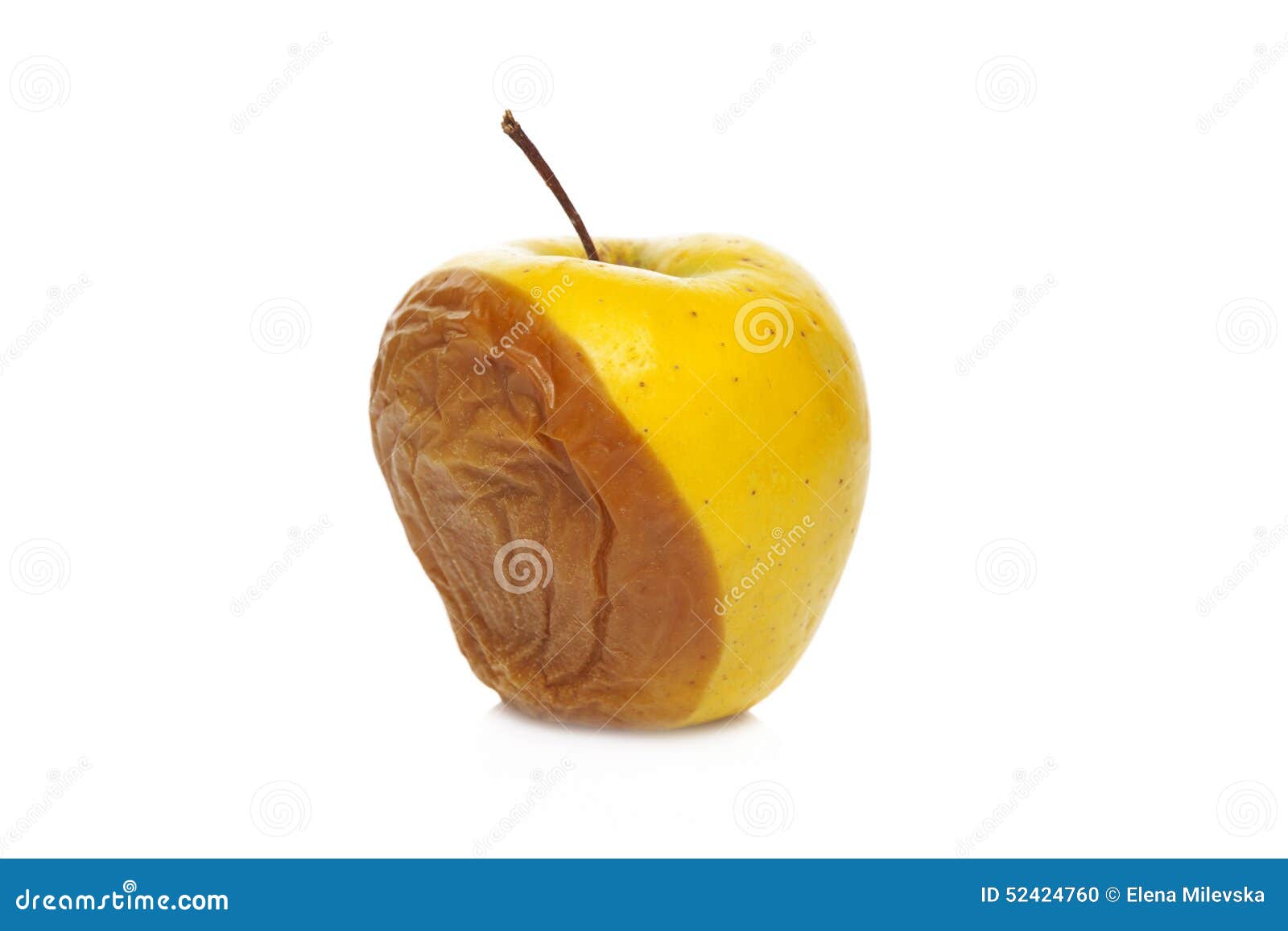 Rotten apple stock photo. Image of rotting, natural, disgust - 52424760