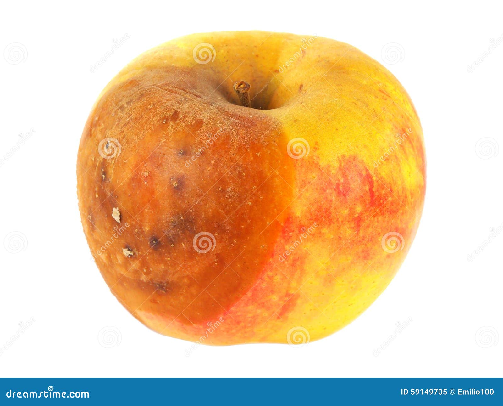 Rotten apple stock image. Image of death, mould, disgust - 59149705