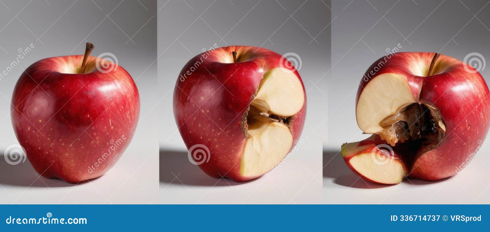 Rotten Apple Progression from Fresh To Decayed Stock Image - Image of ...