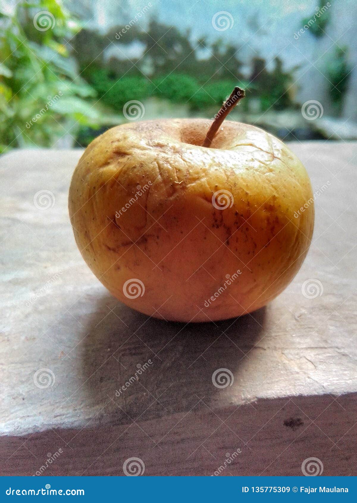 Rotten Apple stock image. Image of food, apple, yellow - 135775309