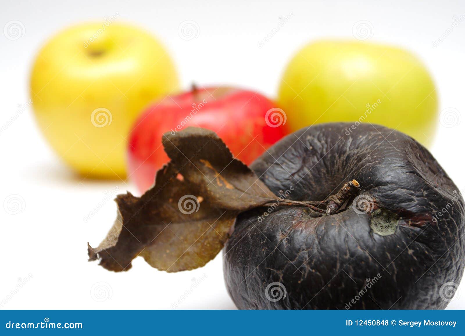 Rotten Apple at the Row of Fresh Apples Stock Photo - Image of ...