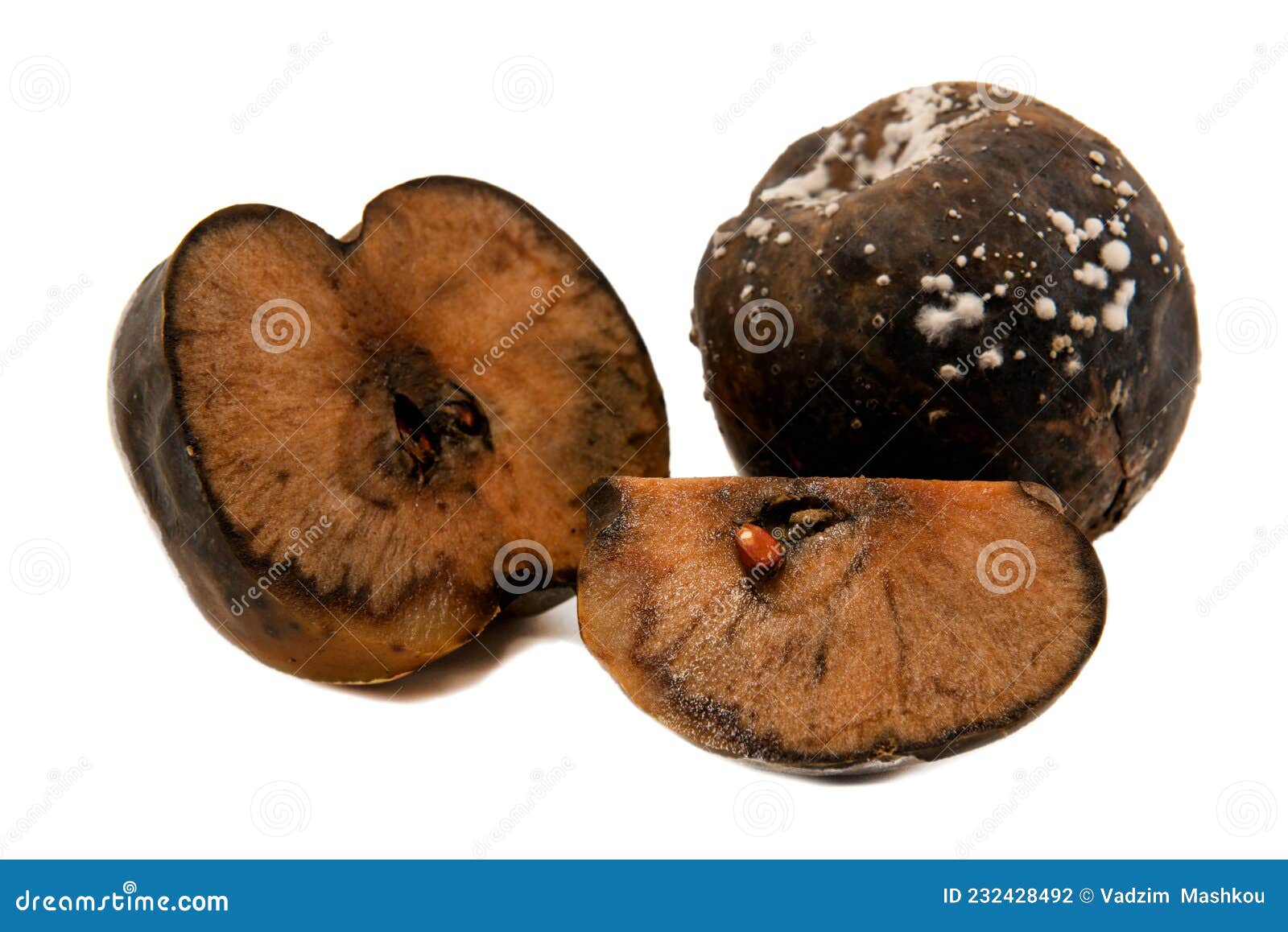Rotten Apple and Slices on a White Background. Spoiled Apple Isolate ...
