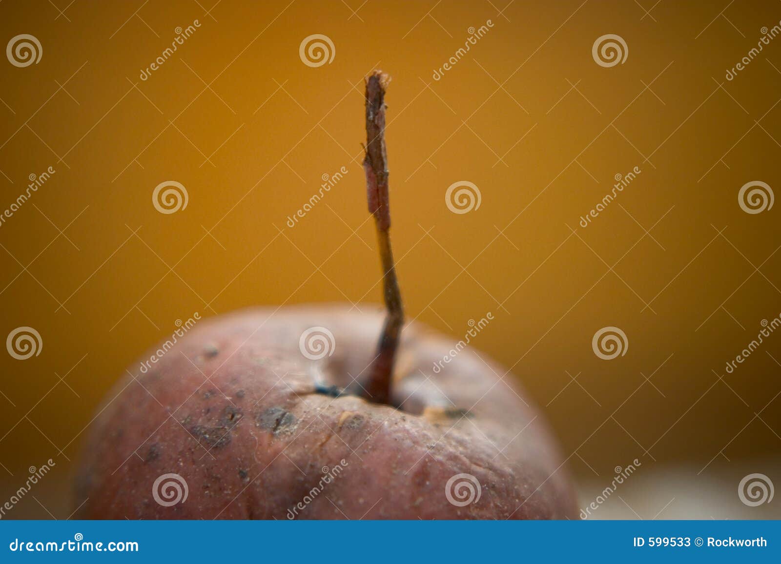 Rotten apple and stem stock image. Image of fruit, apple - 599533